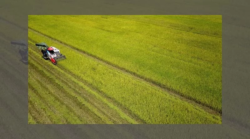 The agricultural sector strives to successfully achieve the set targets ...